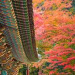 Seoul: Naejangsan National Park Autumn Foliage One Day Tour - Reflecting on the Experience: What Travelers Say