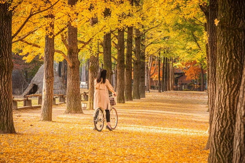 Seoul: Nami Island and Garden of Morning Calm (opt Railbike) - Who Will Enjoy This Tour?
