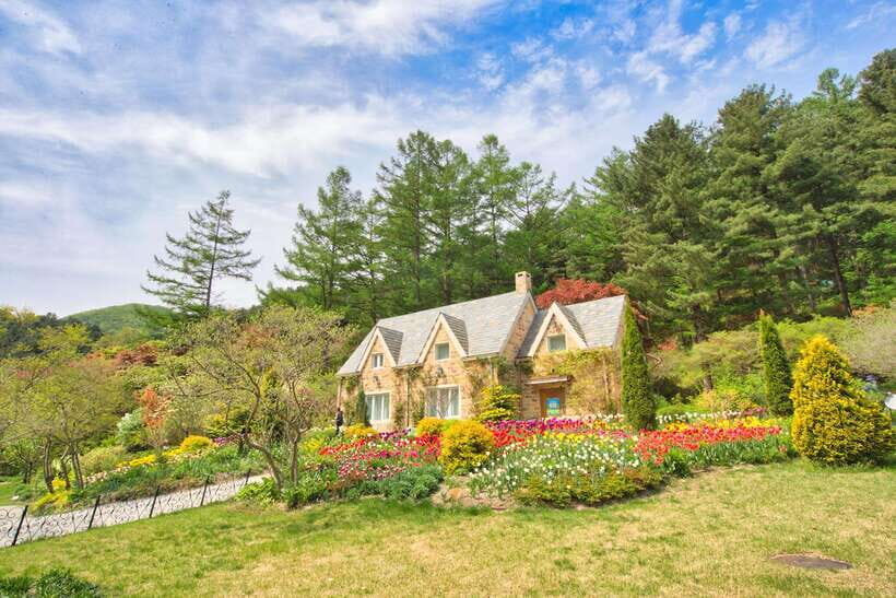 Seoul: Nami Island, Garden and Petite France (opt Railbike) - Practicalities and Value