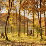 Seoul: Nami+Hanbok+Waterfall(+RailBike or Strawberry)Tour - Analyzing the Value and Practicalities