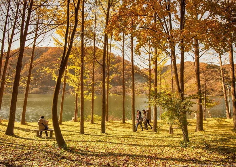 Seoul: Nami+Hanbok+Waterfall(+RailBike or Strawberry)Tour - Analyzing the Value and Practicalities