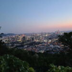 Seoul: Night Namsan Hiking with Hidden Gem Recommendations - Authenticity and Value: Who Will Love This Tour?