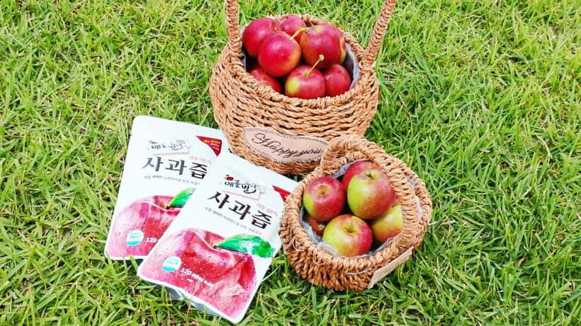 Seoul: Pocheon Art Valley, Garden and Fruit Picking Day Tour - First Impressions: What’s in Store