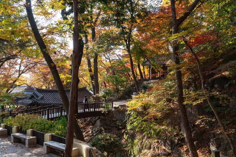 Seoul Unveiled: Untold Stories & Lost Histories Tour - In Summary