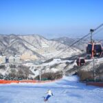 Seoul: Vivaldi Park Winter Ski with Nami Island Day Tour - The Value in the Experience