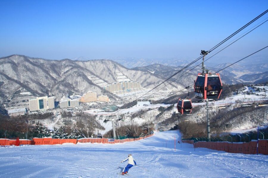 Seoul: Vivaldi Park Winter Ski with Nami Island Day Tour - The Value in the Experience