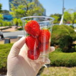 Seoul: Winter Day Tour in Pocheon with Strawberry Picking - How This Tour Offers Value