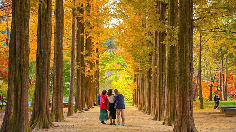 Seoul:Private-Nami Island,Morning Calm Garden,Petite France - Itinerary Breakdown: What You’ll See and Do