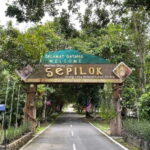 Sepilok OrangUtan, Sun Bear & Labuk Bay Full Day Trip - The Practicalities and What You Need to Know