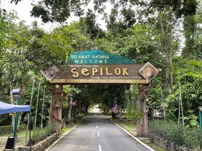 Sepilok OrangUtan, Sun Bear & Labuk Bay Full Day Trip - The Practicalities and What You Need to Know