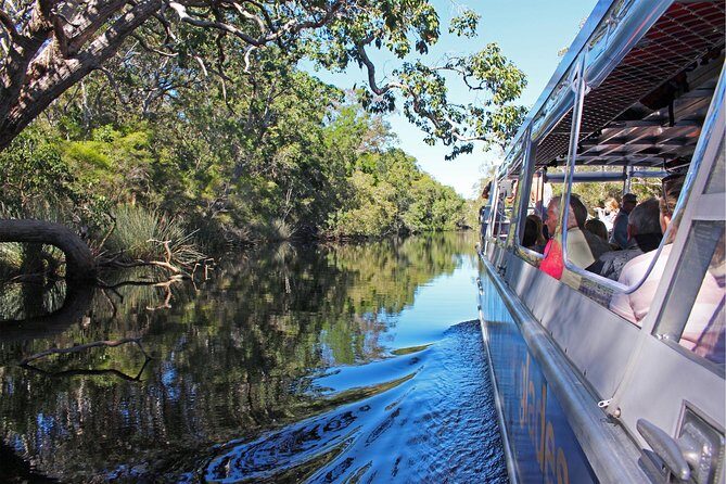 Serenity Cruise to Australia's Everglades - What Makes This Tour Stand Out?