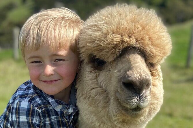 Shamarra Alpaca Farm Tours - Who Will Love This Tour?