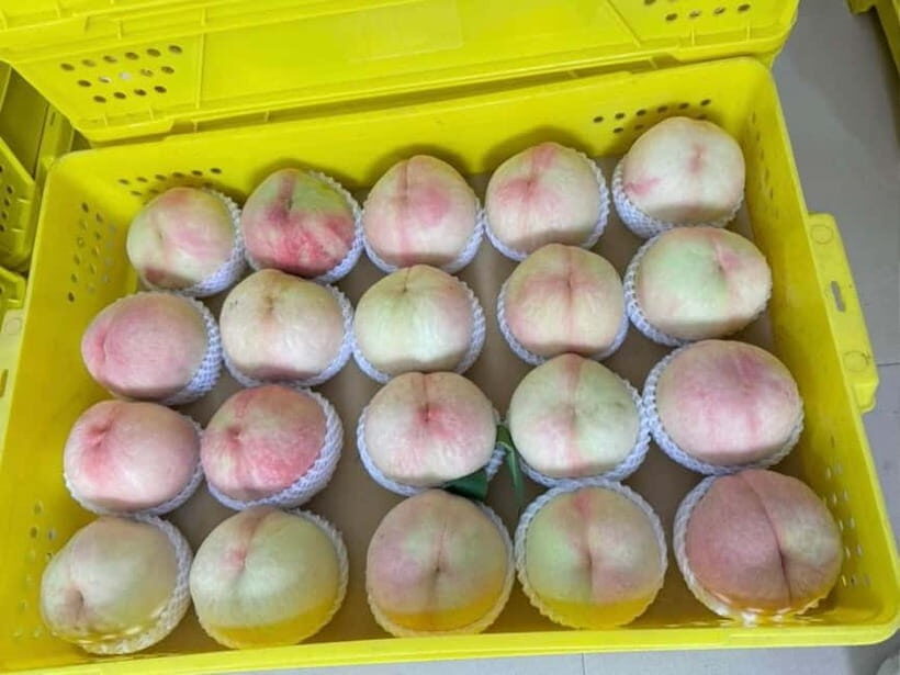 Shanghai: Delicate Seasonal Fruits and Picking Experience - The Experience Provider and Practical Details
