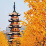 Shanghai: Longhua Temple Buddhist tour with local expert - Who Would Benefit Most from This Tour?