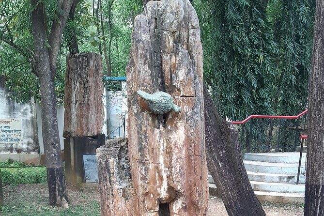 Shantiniketan Day Excursion from Kolkata by Train - FAQs