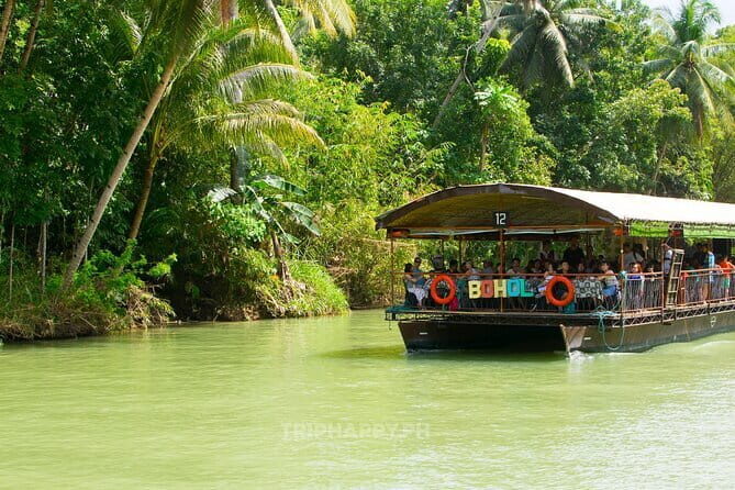 Shared Bohol Countryside Highlights Tour - What’s the Real Value?