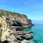 Shared Dunedin City & Otago Peninsula Scenery Day Tour up to 10 - What Travelers Say