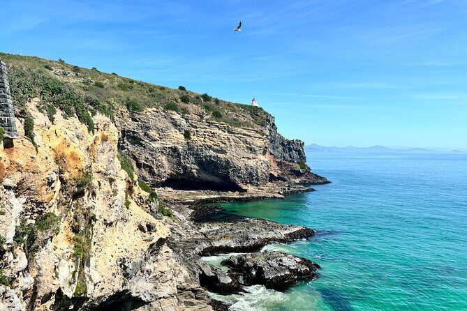 Shared Dunedin City & Otago Peninsula Scenery Day Tour up to 10 - What Travelers Say