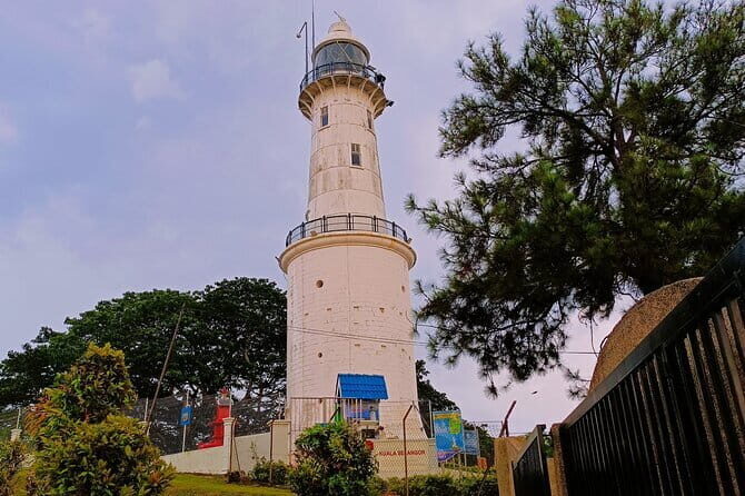Shared Fireflies Tour with Blue Tears and Seafood Dinner - Why This Tour Offers Great Value