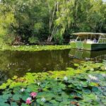Shared Shuttle Return Transfers (ex Port Douglas) Transfers Only - Exploring Hartleys at Your Leisure