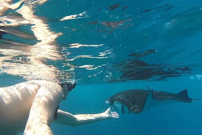Shared Snorkeling 3-4 spot manta bay in Nusa Penida - A Close Look at the Tour Experience