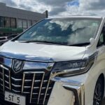 Shared Transfer from Nadi Airport to Denarau and Nadi Hotel - Why Choose This Transfer?