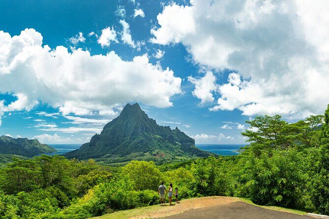 Shared Transfer : Hotel to Moorea Airport (or) Pier - Who Should Book This Transfer?