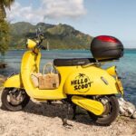 Shared Transfer : Moorea Airport (or) Pier to Hotel - Practical Tips for Travelers