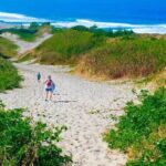 Shared Transfers from Airport to Denarau - The Real-World Experience: What Travelers Might Expect