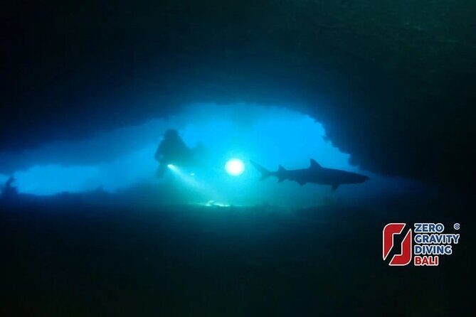 Shark Cave diving at Tangked Taked and Biaha Shark Caves - Key Points