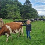 Sheep & Beef Working Farm Private Tour - Exploring the Itinerary in Detail