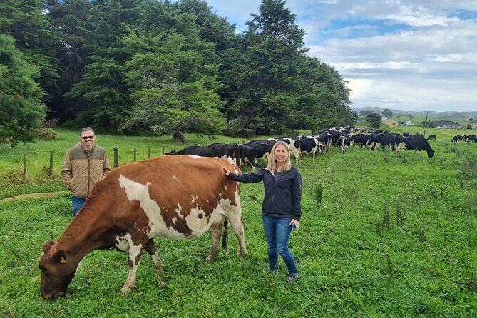 Sheep & Beef Working Farm Private Tour - Exploring the Itinerary in Detail