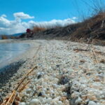 Shell beach Turtle head and Kok-Moinok canyons - Exploring the Route and Highlights