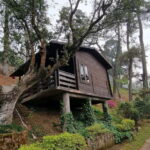 Shillong Green Trails: Guided Trekking Experience with local - Who Should Consider This Tour?