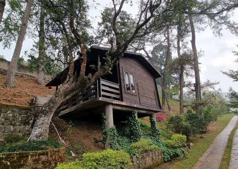 Shillong Green Trails: Guided Trekking Experience with local - Who Should Consider This Tour?