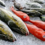 Shima: Premium Fish Shop Tour, Exclusive Backyard Experience - Why This Tour Is Worth Considering
