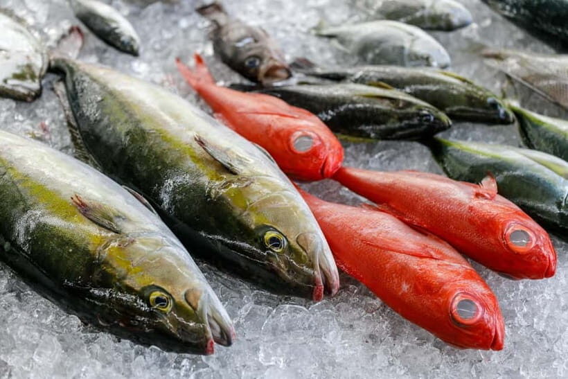 Shima: Premium Fish Shop Tour, Exclusive Backyard Experience - Why This Tour Is Worth Considering
