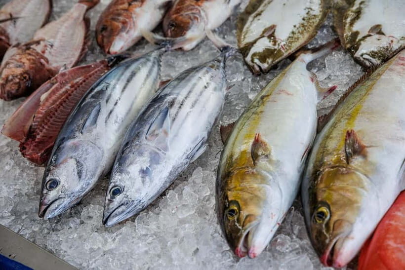 Shima: Standard Fish Shop Tour & Workshop - Why Choose This Experience?