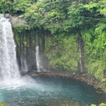 Shimizu Port: Fujinomiya Shore Excursion, The Mt Fuji Story - The Practicalities