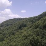 Shimla: Hiking Tour to Taradevi Hill with Local Driver Guide - A Detailed Look at the Hiking Adventure in Shimla