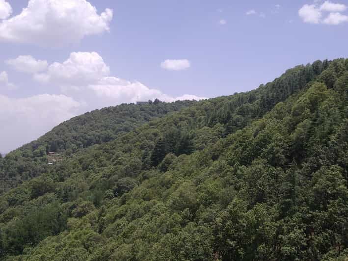 Shimla: Hiking Tour to Taradevi Hill with Local Driver Guide - A Detailed Look at the Hiking Adventure in Shimla