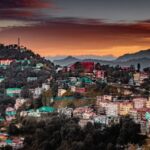 Shimla Nature Walk (3 Hours Guided Trekking Experience) - The Guide and the Experience