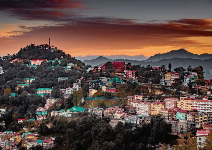 Shimla Nature Walk (3 Hours Guided Trekking Experience) - The Guide and the Experience