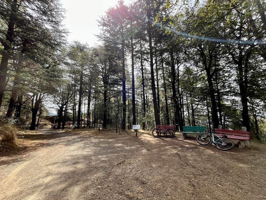 Shimla: Wildlife Sanctuary & Water Catchment Guided Tour - The Sum Up: Who Should Consider This Tour?