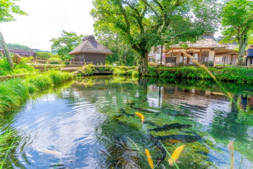 Shine Muscat Buffet, Fuji Ice Cave & Oshino Hakkai Day Tour - Practical Details & What to Expect