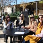 Ship Shore Excursion: Private Tour: Adelaide City, choice Adelaide Wine Regions - Deep Dive into the Experience