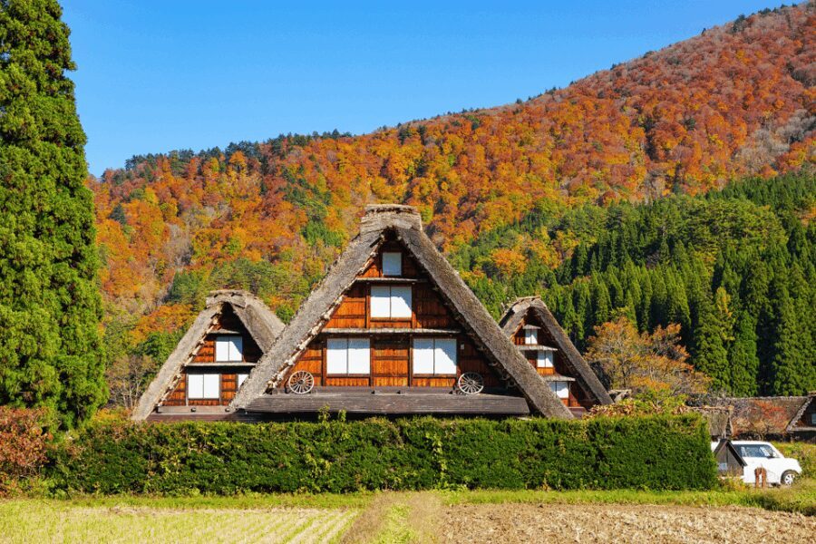 Shirakawago and Takayama 1 Day Bus Tour from Nagoya - What Travelers Say About This Tour