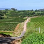Shire Shuttle Bus's Shoalhaven Coast Wine Tour - Authentic Experiences and Genuine Reviews