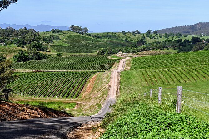 Shire Shuttle Bus's Shoalhaven Coast Wine Tour - Authentic Experiences and Genuine Reviews