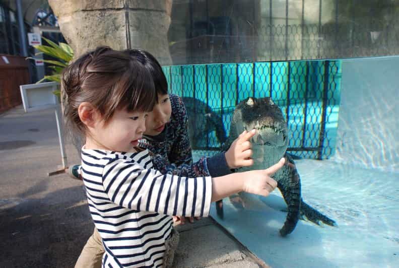 Shizuoka: Atagawa Tropical & Alligator Garden Entrance - Who Is This Experience Perfect For?